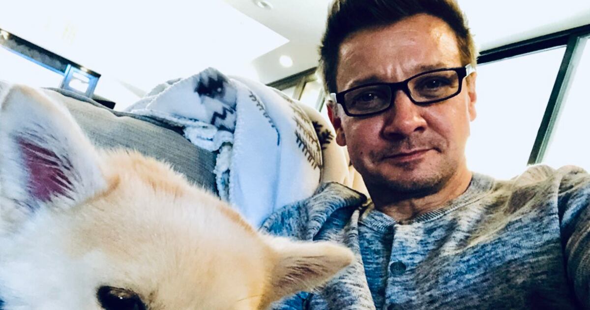 Jeremy Renner, de ‘Avengers’, sufre grave accidente; está en estado ... Jeremy Renner, de ‘Avengers’, sufre grave accidente; está en estado ...